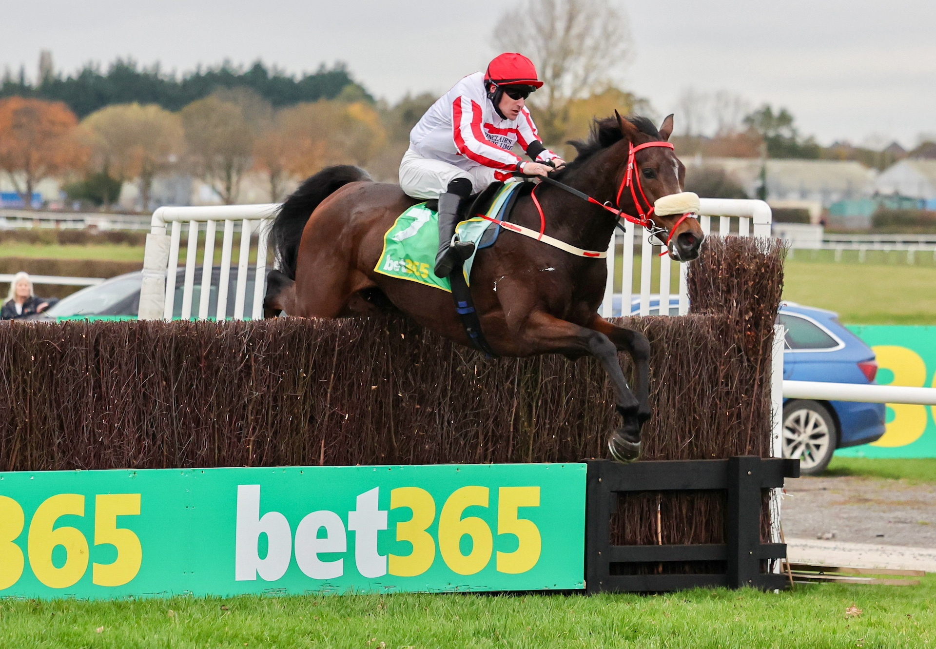 Son Of Mahler Bounces Back In Charlie Hall Chase