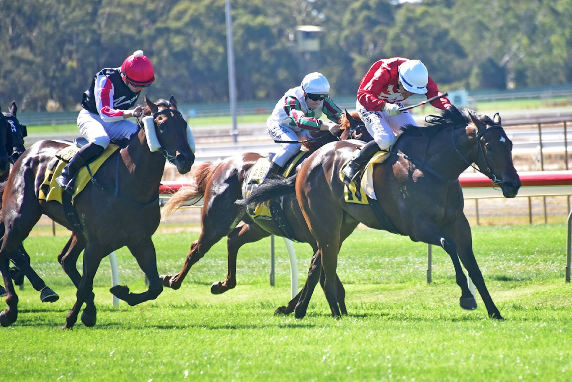 Starspangledbanner Filly Wins $250,000 Gold Rush