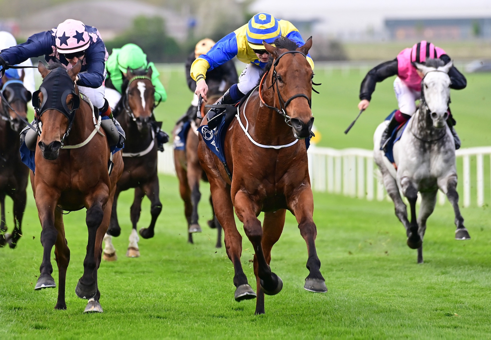 Progressive Sprinter The Latest Stakes Winner By Starspangledbanner