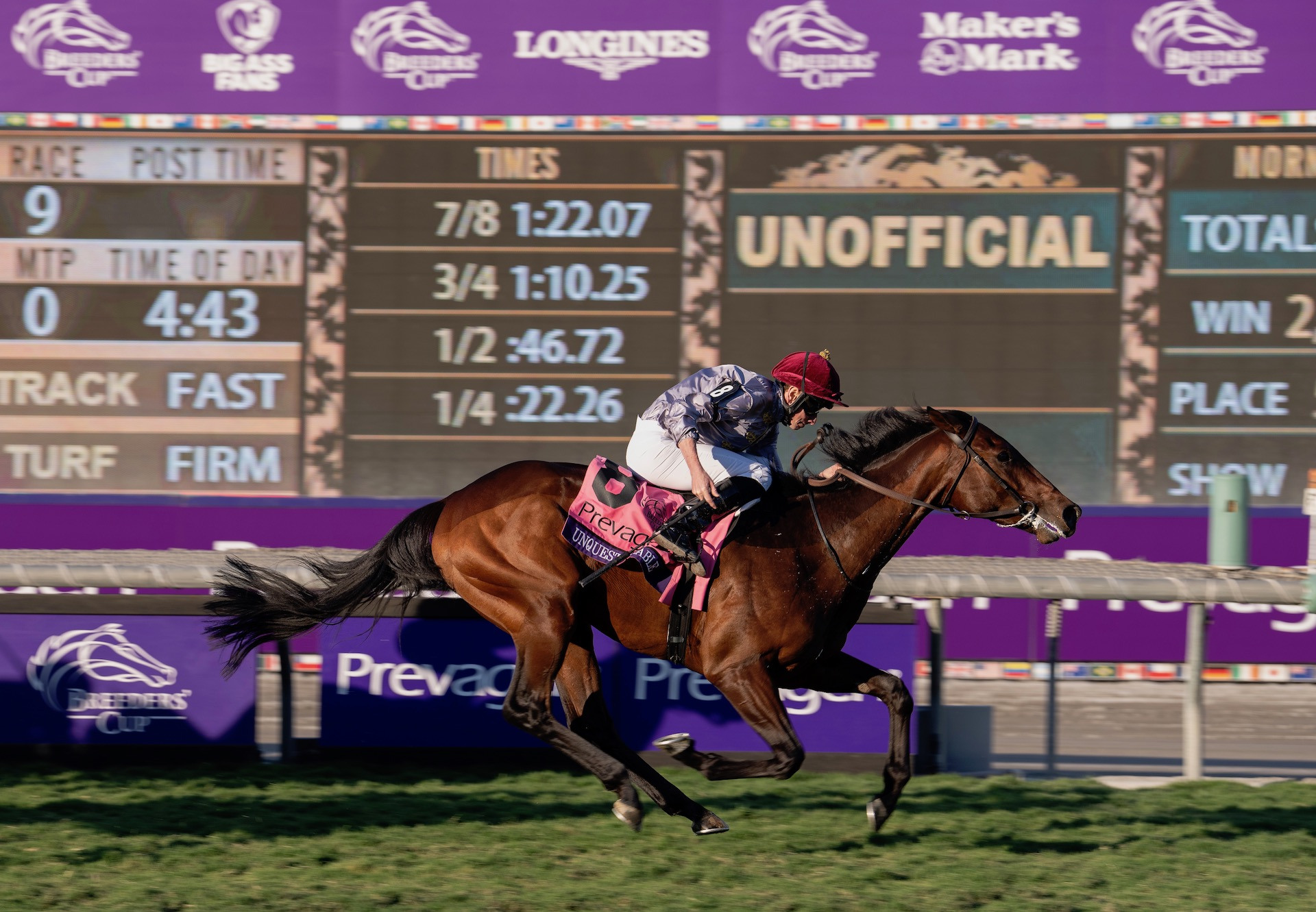 Breeders Cup Success Continues Terrific Season For Wootton Bassett
