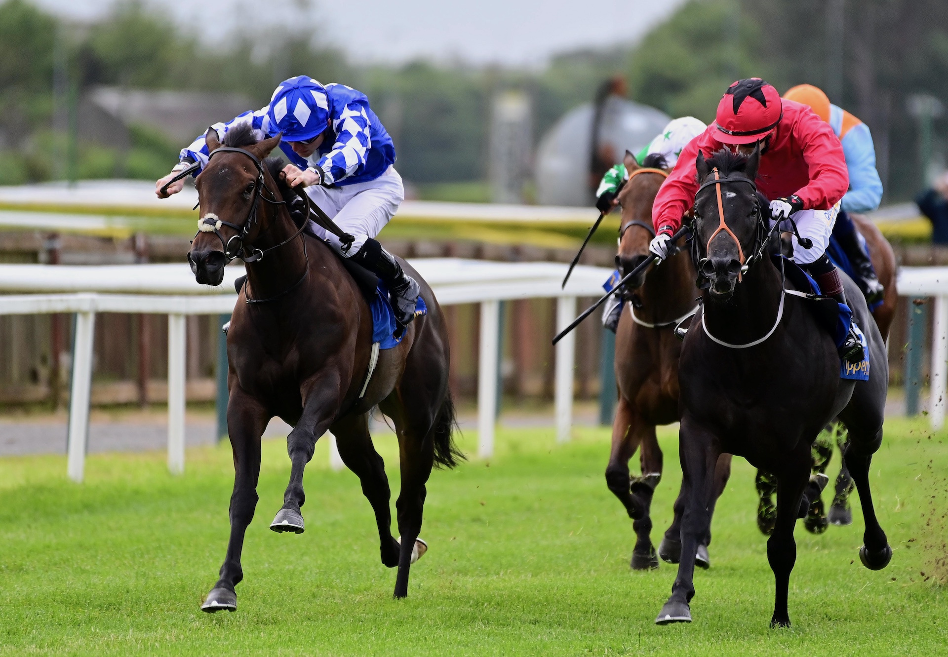 Game Juvenile The Latest Stakes Winner By Ten Sovereigns