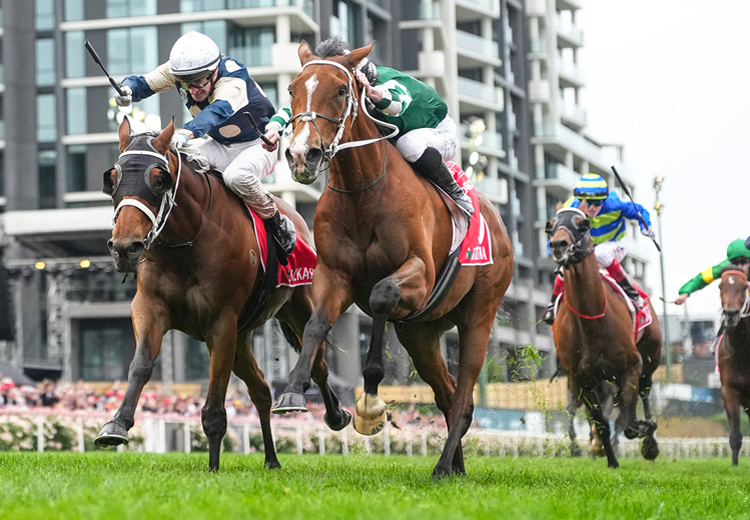 Fastnet Rock Stars Quinella G1 Cox Plate