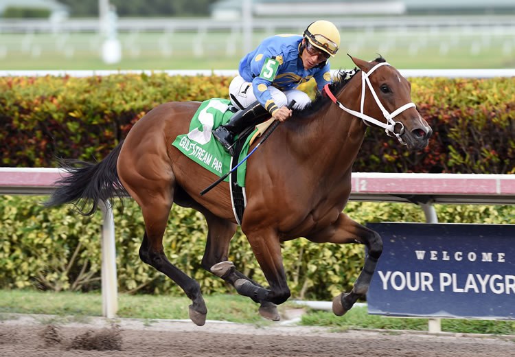 More Stakes Success for Munnings Filly