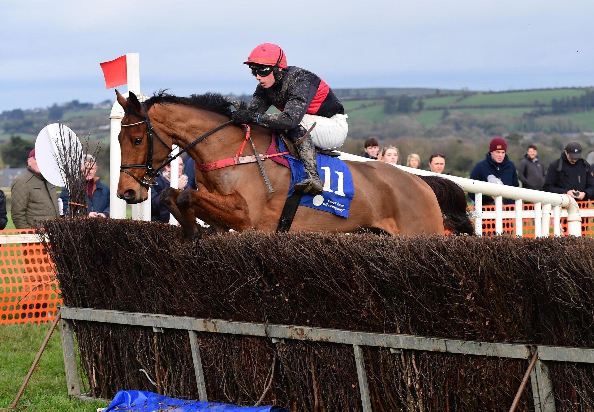 Crystal Ocean Gelding Readily Strikes At Carrigarostig