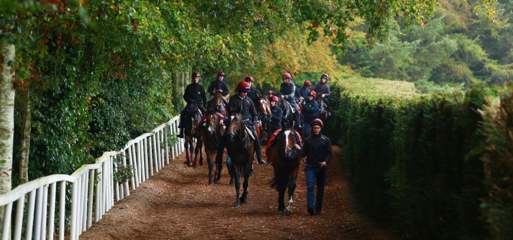Ballydoyle | Racing Stable | Tipperary
