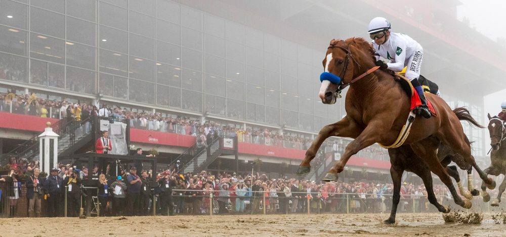 Coolmore America | Home Of Champions | Ashford Stud