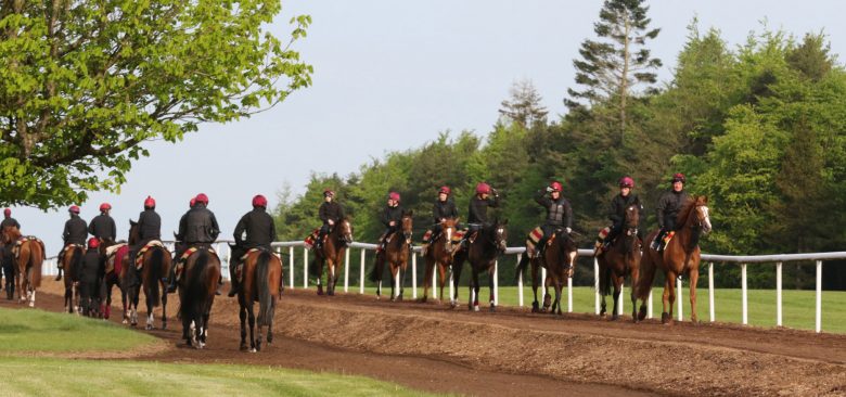Ballydoyle | Racing Stable | Tipperary