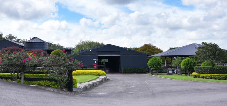 Mt White Farm | Farms