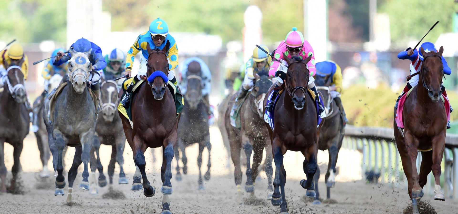 Coolmore America | Home Of Champions | Ashford Stud