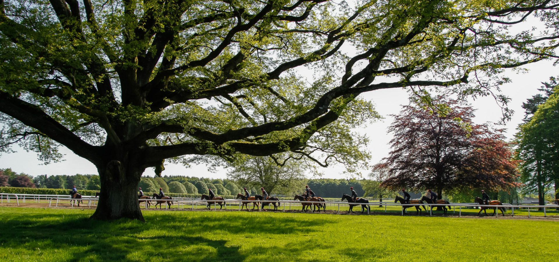 Ballydoyle | Racing Stable | Tipperary
