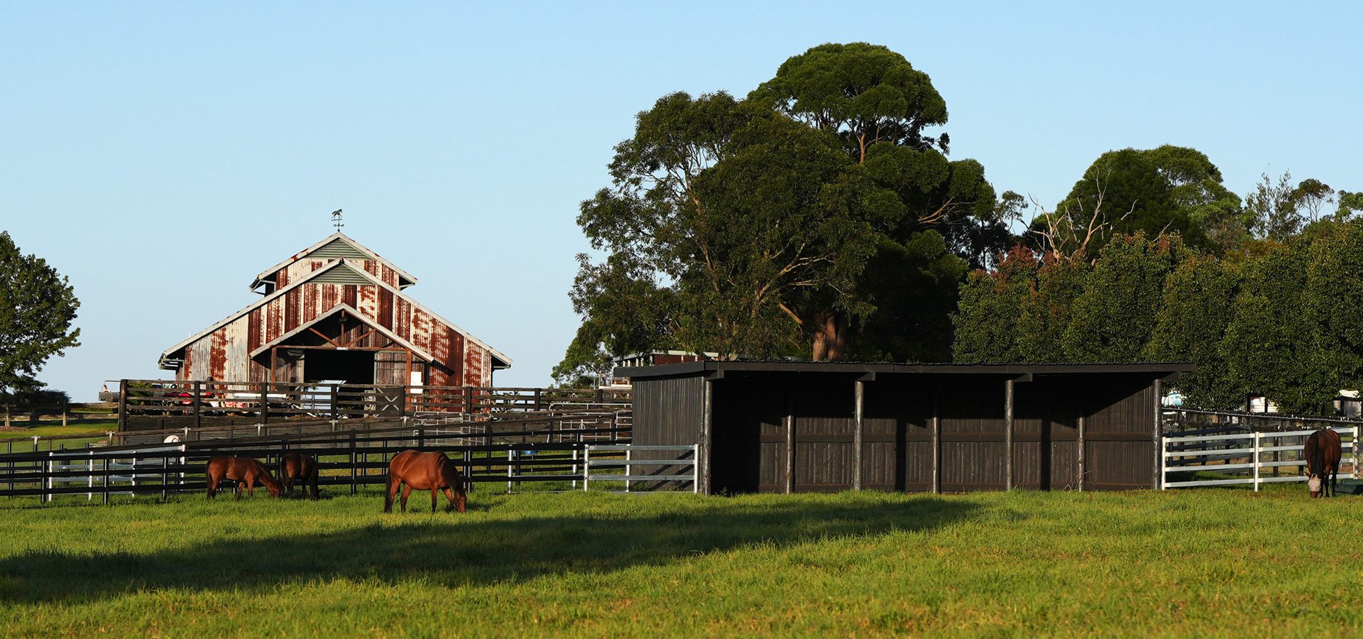 Mt White Farm | Farms