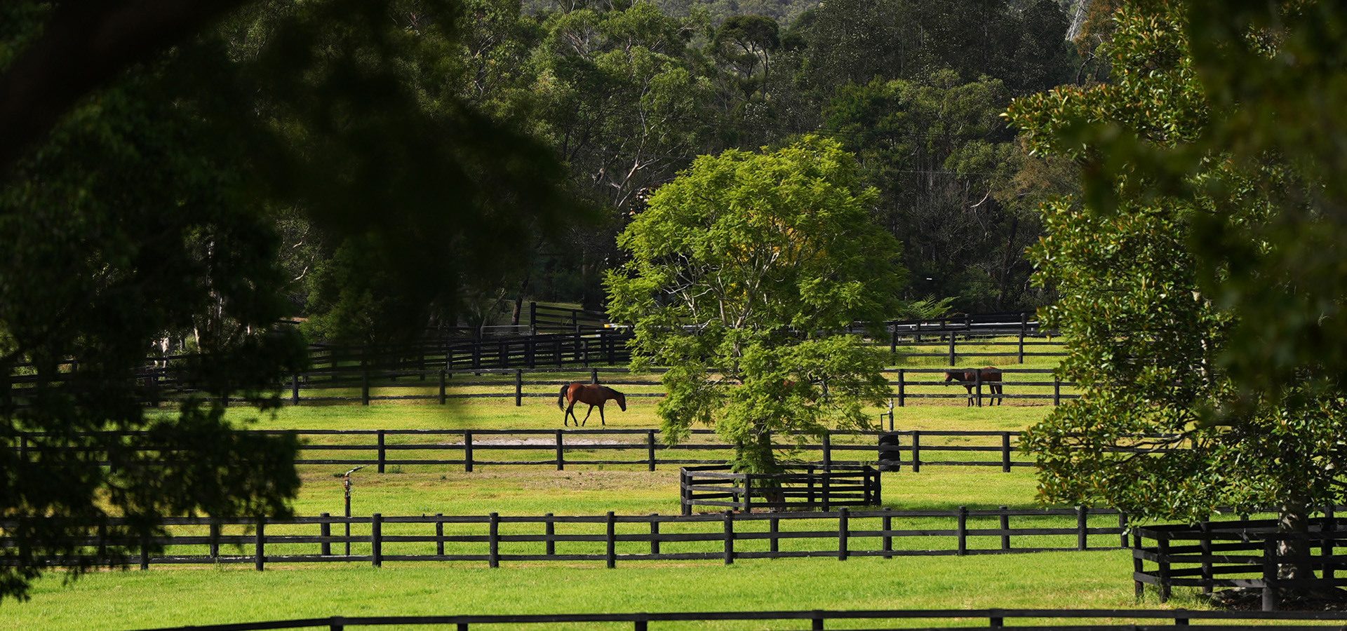 Mt White Farm | Farms