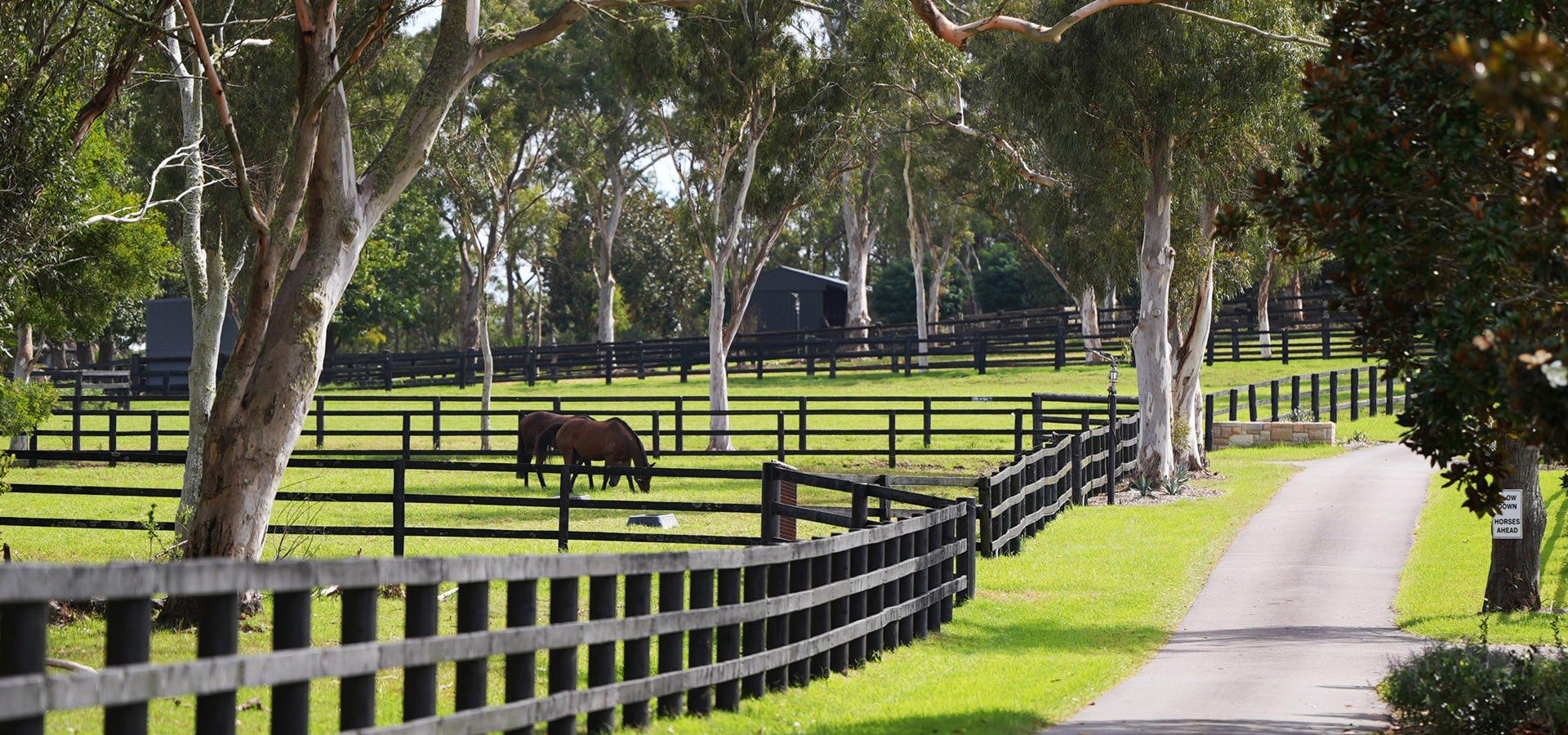 Mt White Farm | Farms