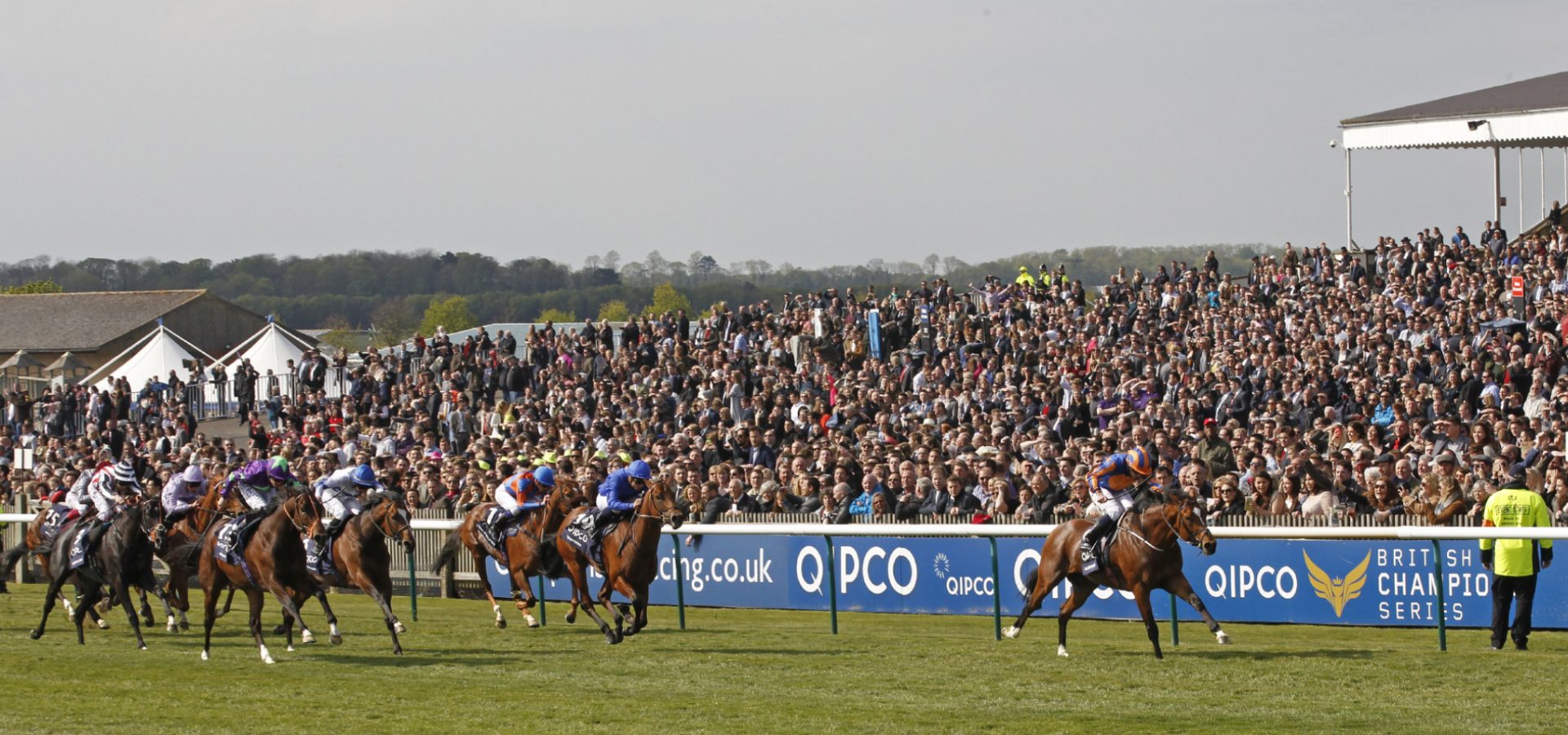 Coolmore Ireland | Home Of Champions | Coolmore Stud