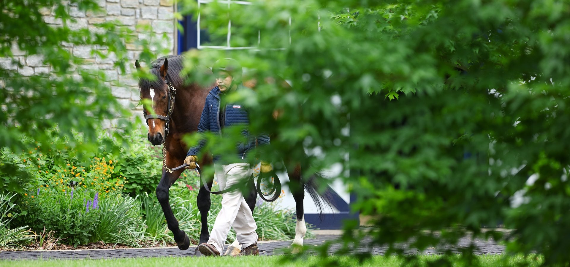 Coolmore America | Farms