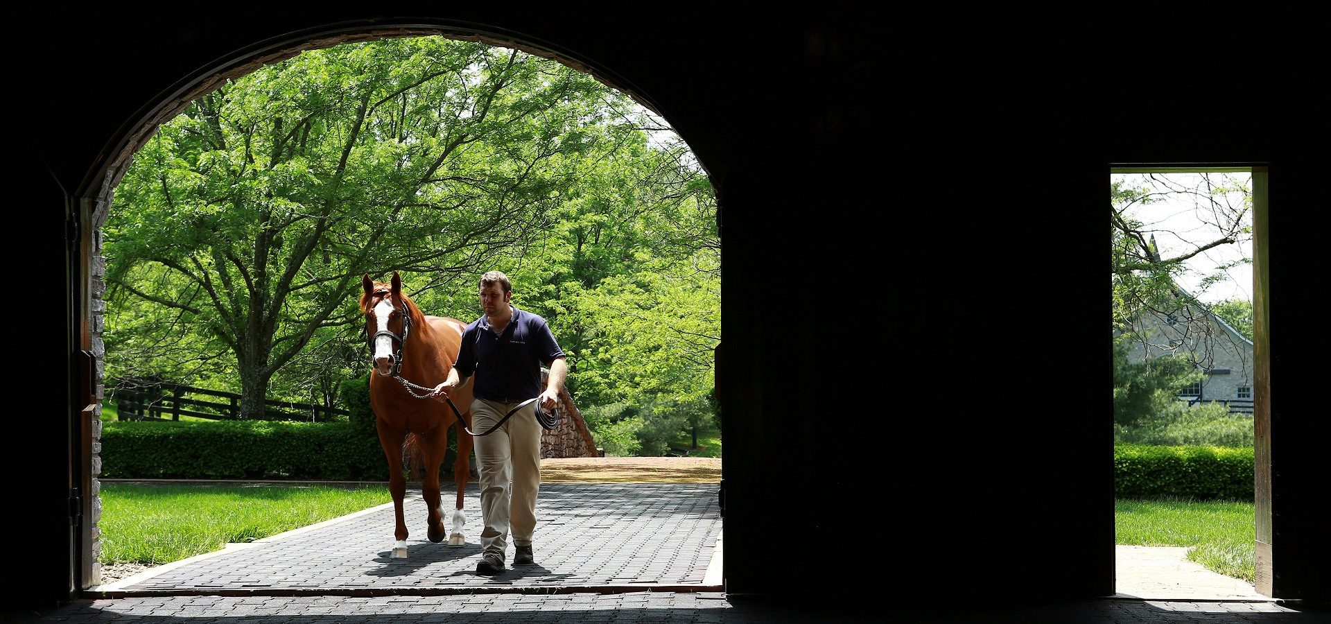 Coolmore America | Farms