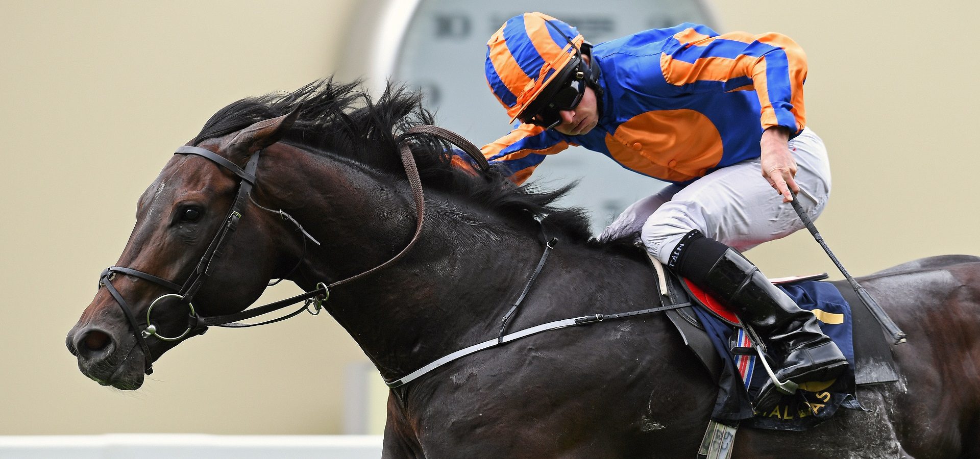 Ballydoyle | Racing Stable | Tipperary