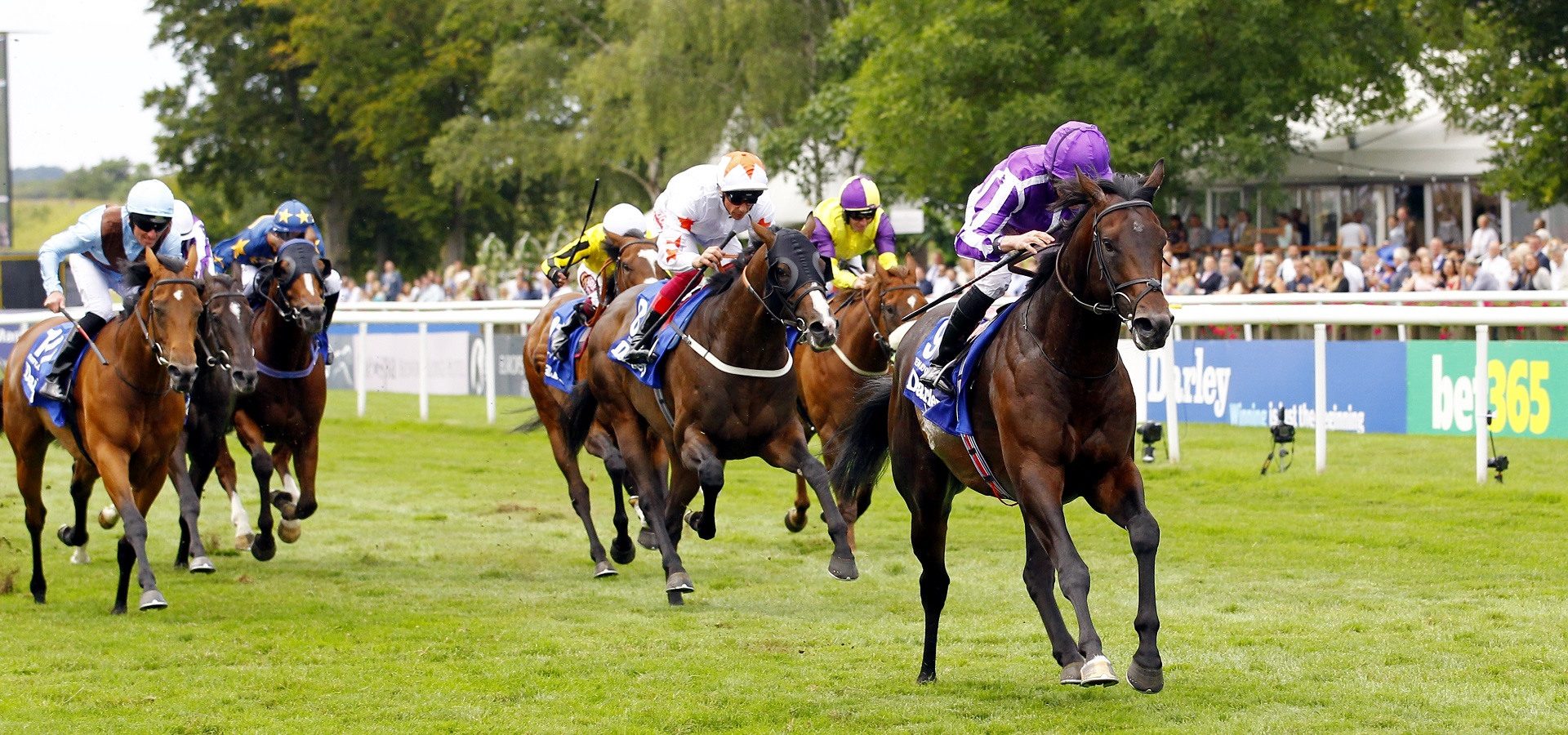 Coolmore Ireland | Home Of Champions | Coolmore Stud