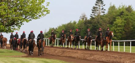 Ballydoyle | Racing Stable | Tipperary