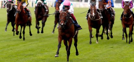 Coolmore Ireland | Home Of Champions | Coolmore Stud