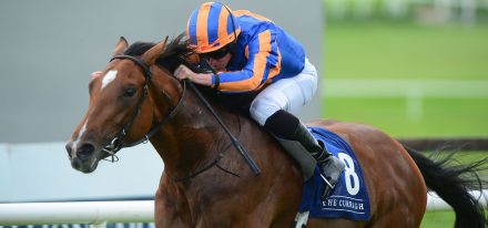 Ballydoyle | Racing Stable | Tipperary