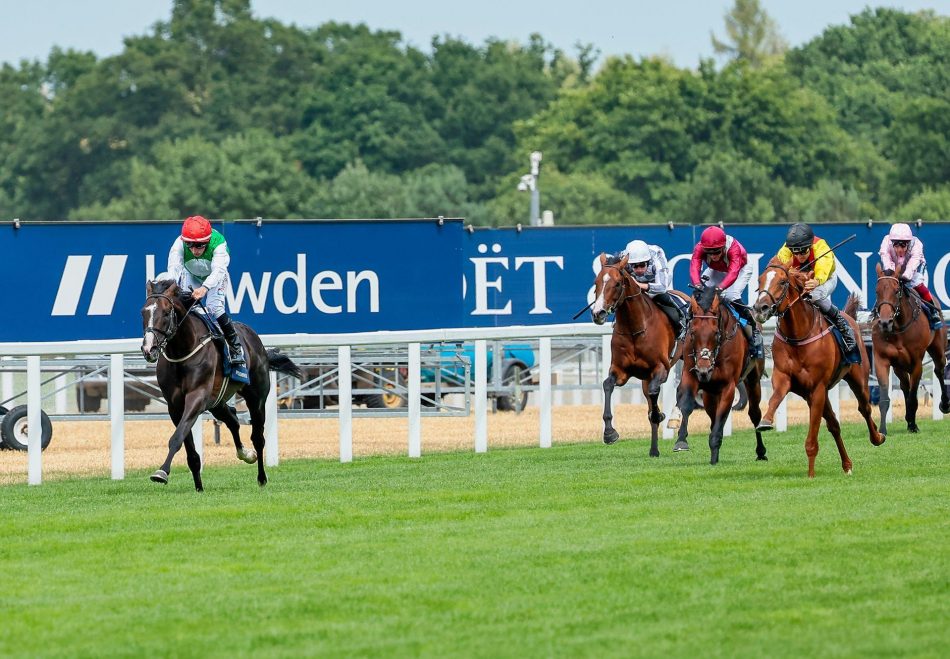 Pyledriver | Stallions - Coolmore National Hunt