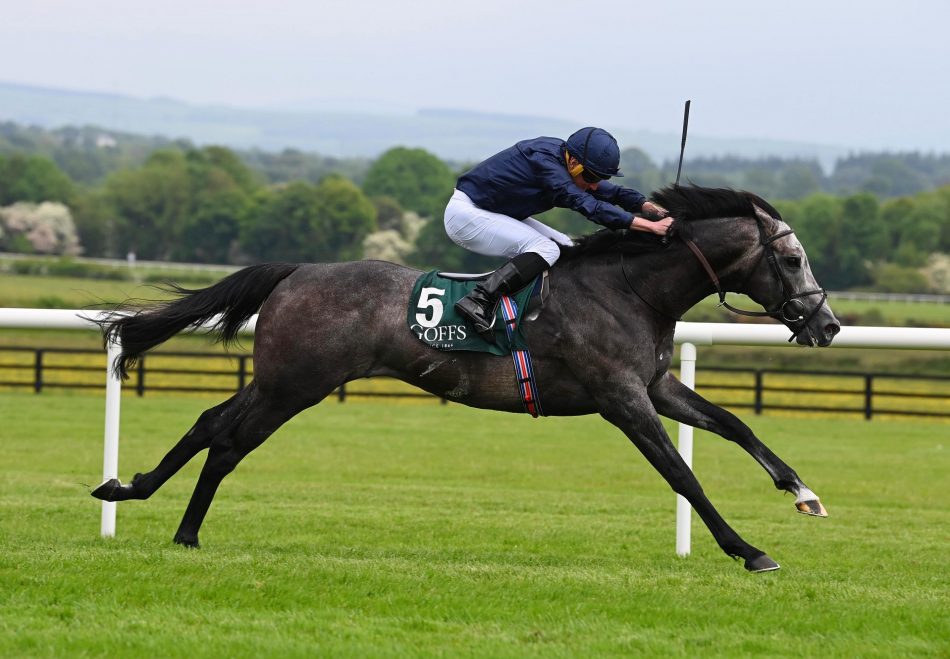 The Antarctic | Stallions - Coolmore Irealand