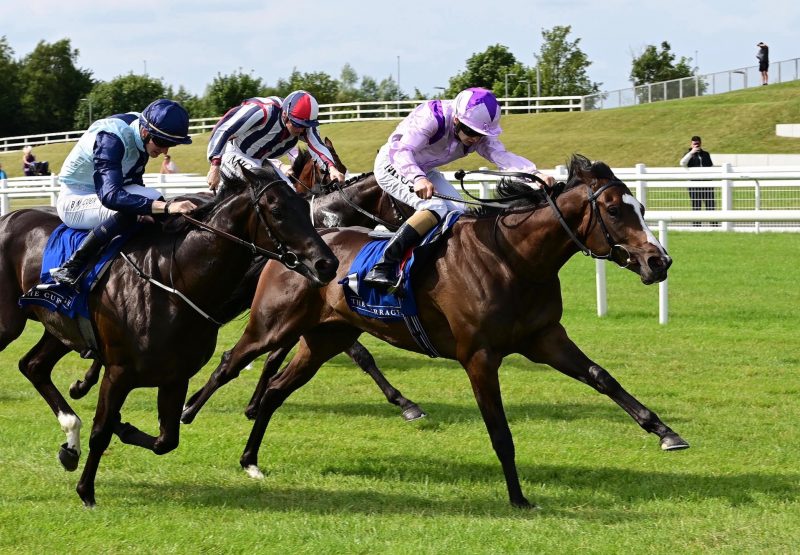 Coolmore Ireland | Home Of Champions | Coolmore Stud