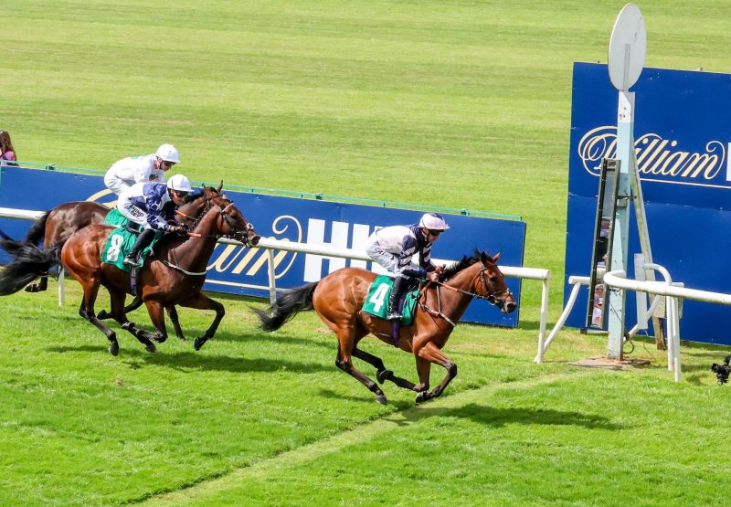 Coolmore Ireland | Home Of Champions | Coolmore Stud