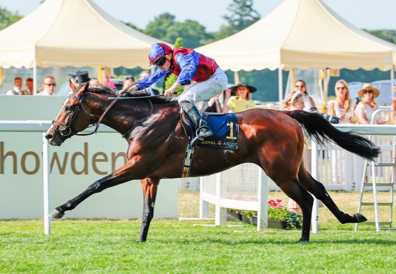 Coolmore Ireland | Home Of Champions | Coolmore Stud