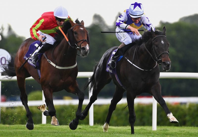 Coolmore Ireland | Home Of Champions | Coolmore Stud