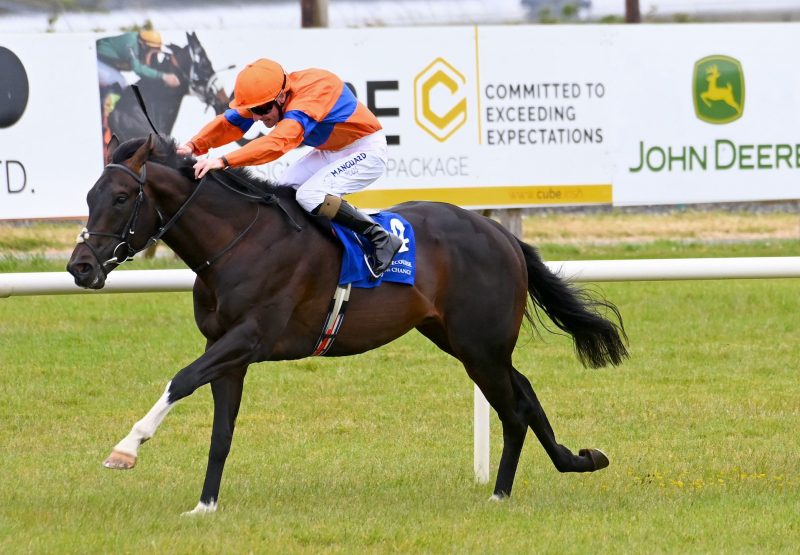 Coolmore Ireland | Home Of Champions | Coolmore Stud