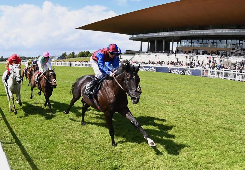 Coolmore Ireland | Home Of Champions | Coolmore Stud