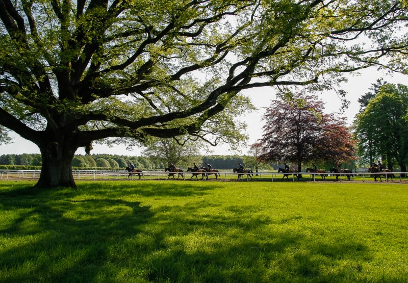Ballydoyle | Racing Stable | Tipperary