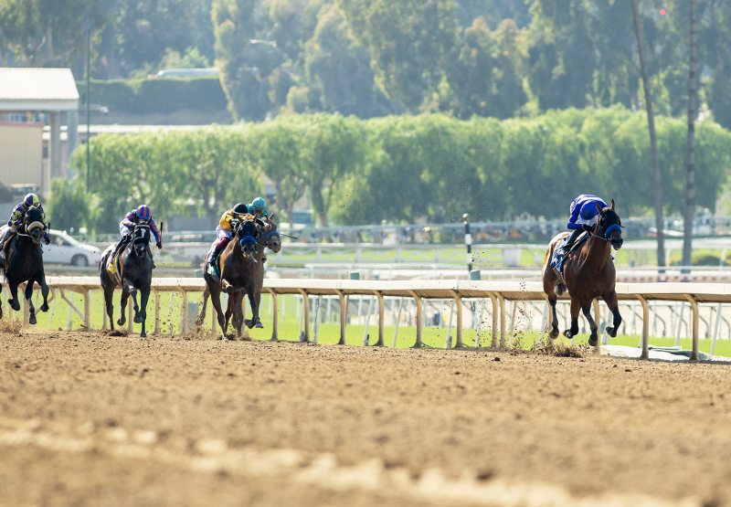 Coolmore America | Farms