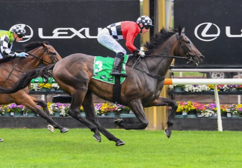 Coolmore Australia | Home Of Champions | Jerrys Plains