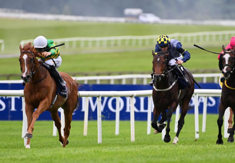 Coolmore Ireland | Home Of Champions | Coolmore Stud