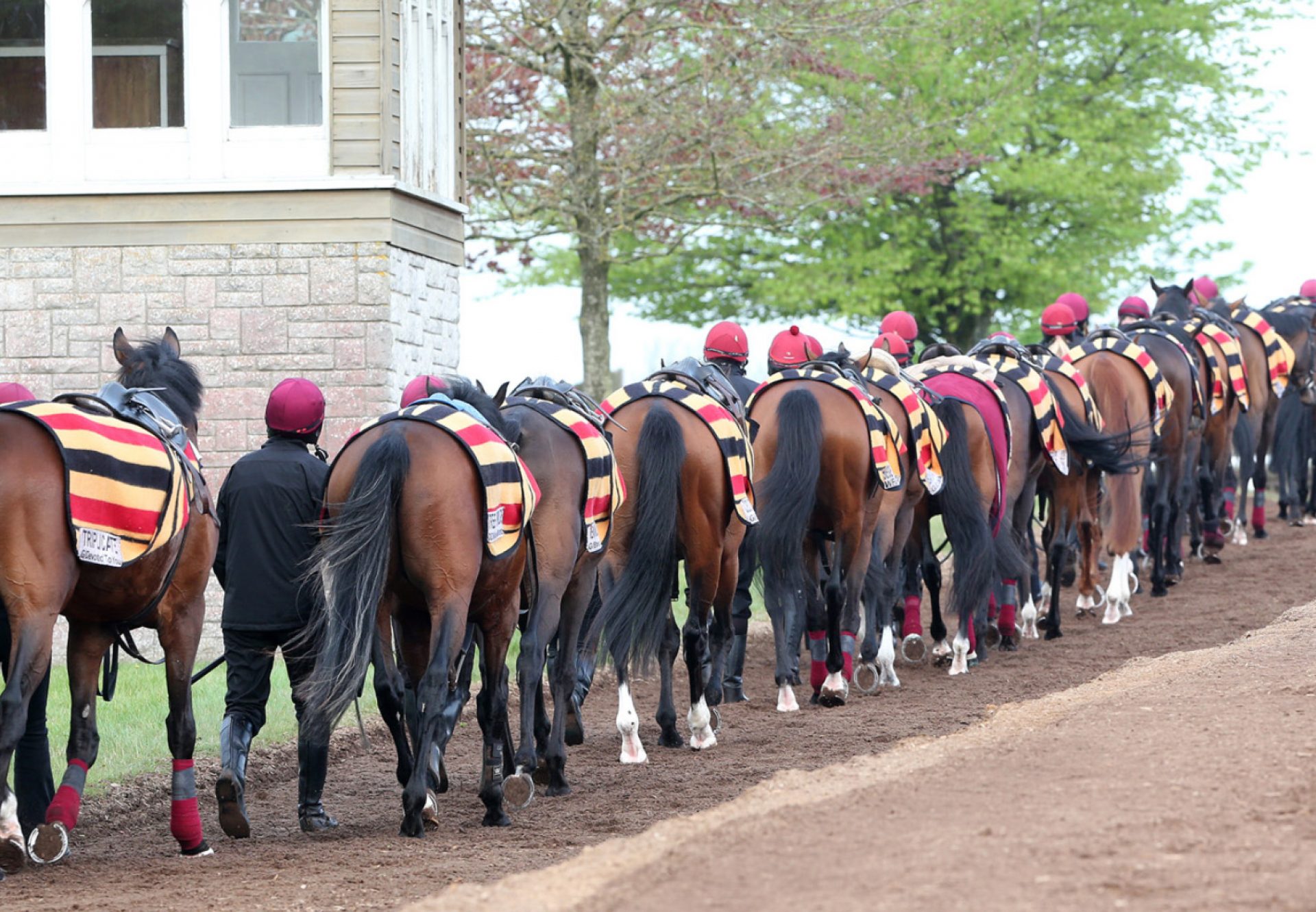 Ballydoyle’s Declarations for The Curragh, Saturday 24th May.