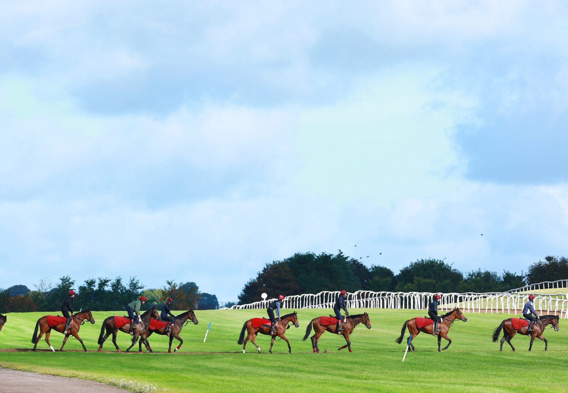 Ballydoyle's Declarations for York, Wednesday 20th August.