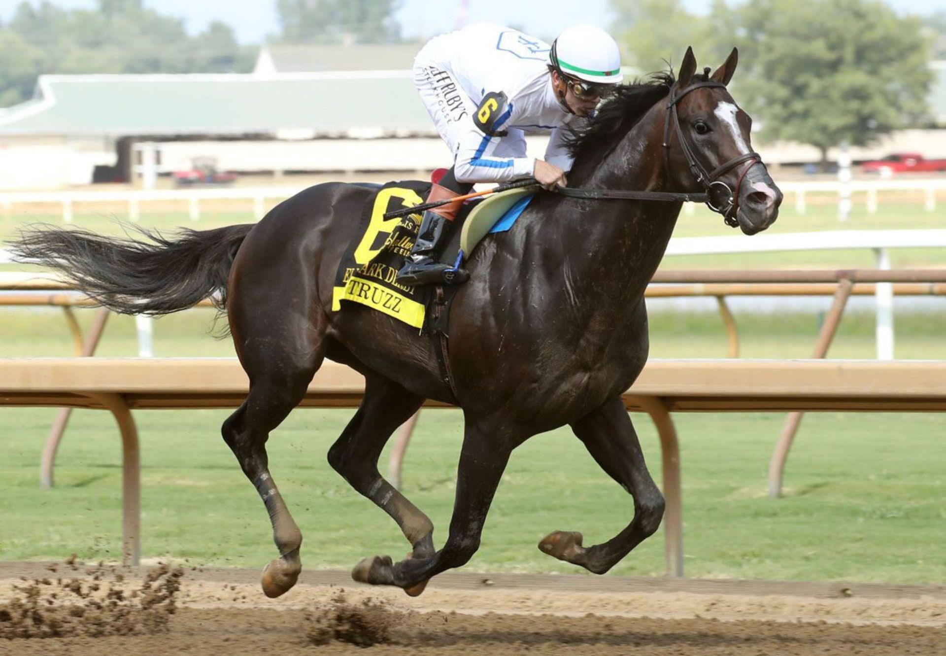 Justify Colt Runs Away with Ellis Park Derby
