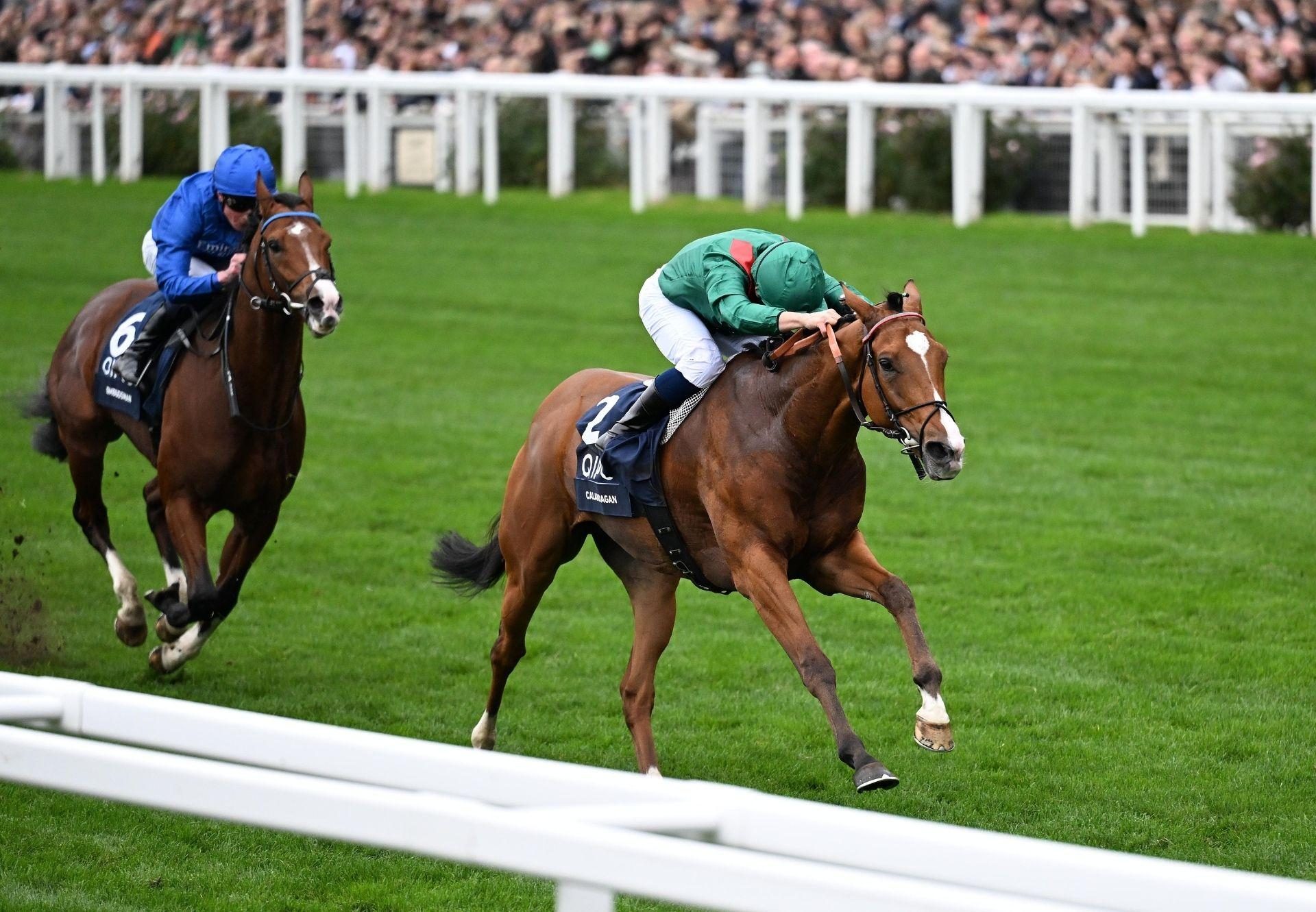 Gleneagles’ Calandagan Caps Top Year With Cartier Horse Of The Year Award