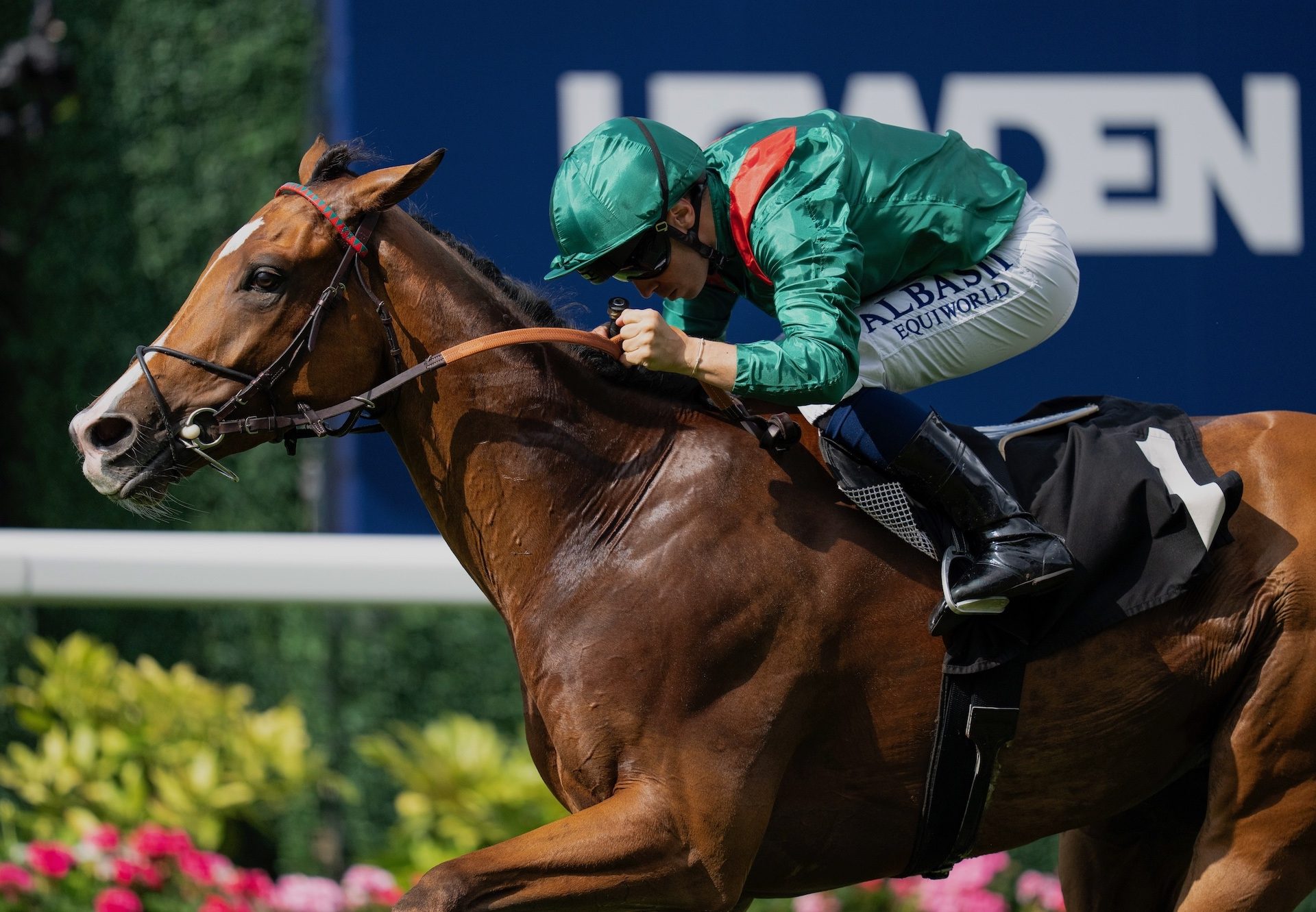 Gleneagles’ Calandagan Follows Up In King George