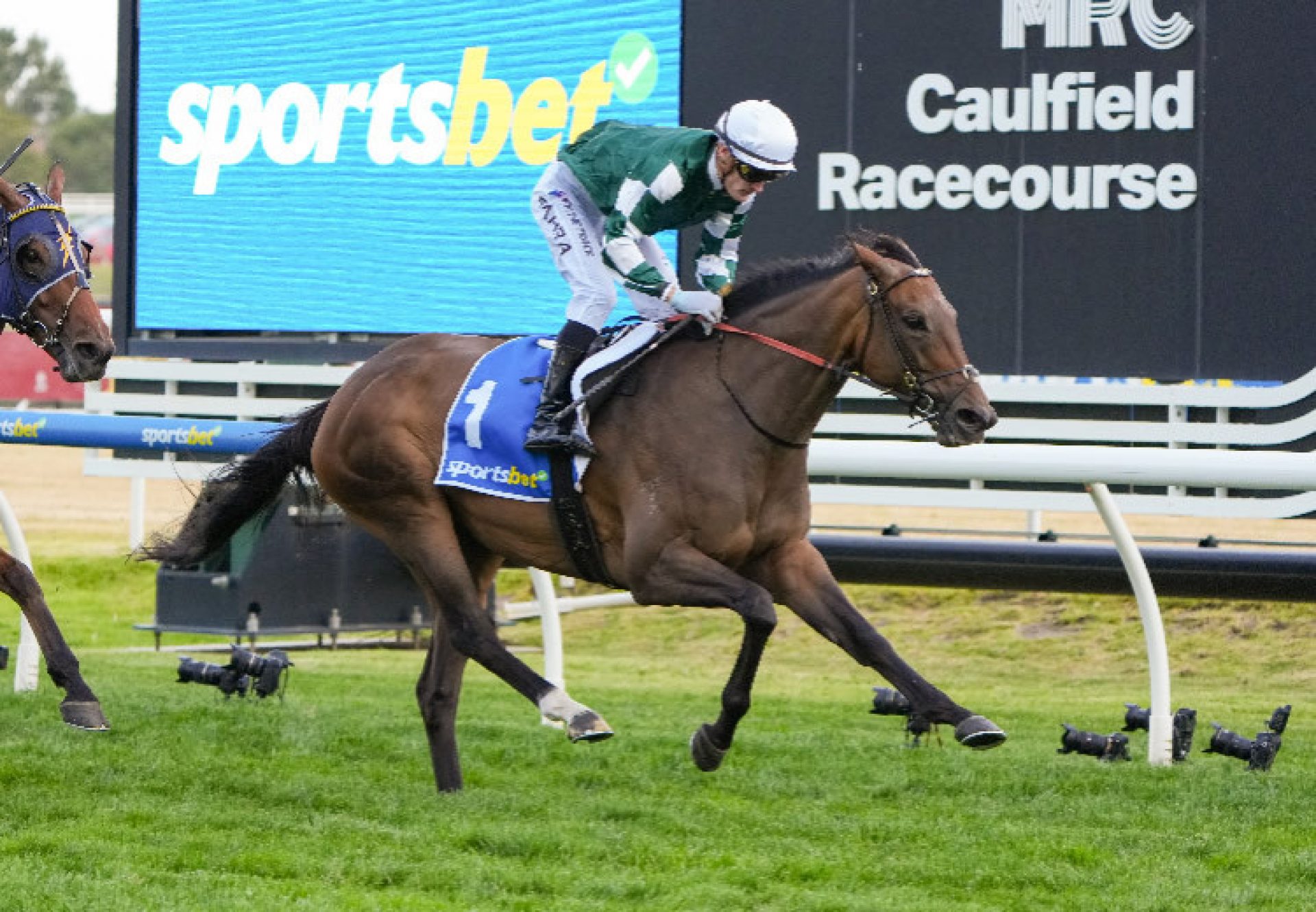 G1 Australian Cup Goal for Pride of Dubai Mare