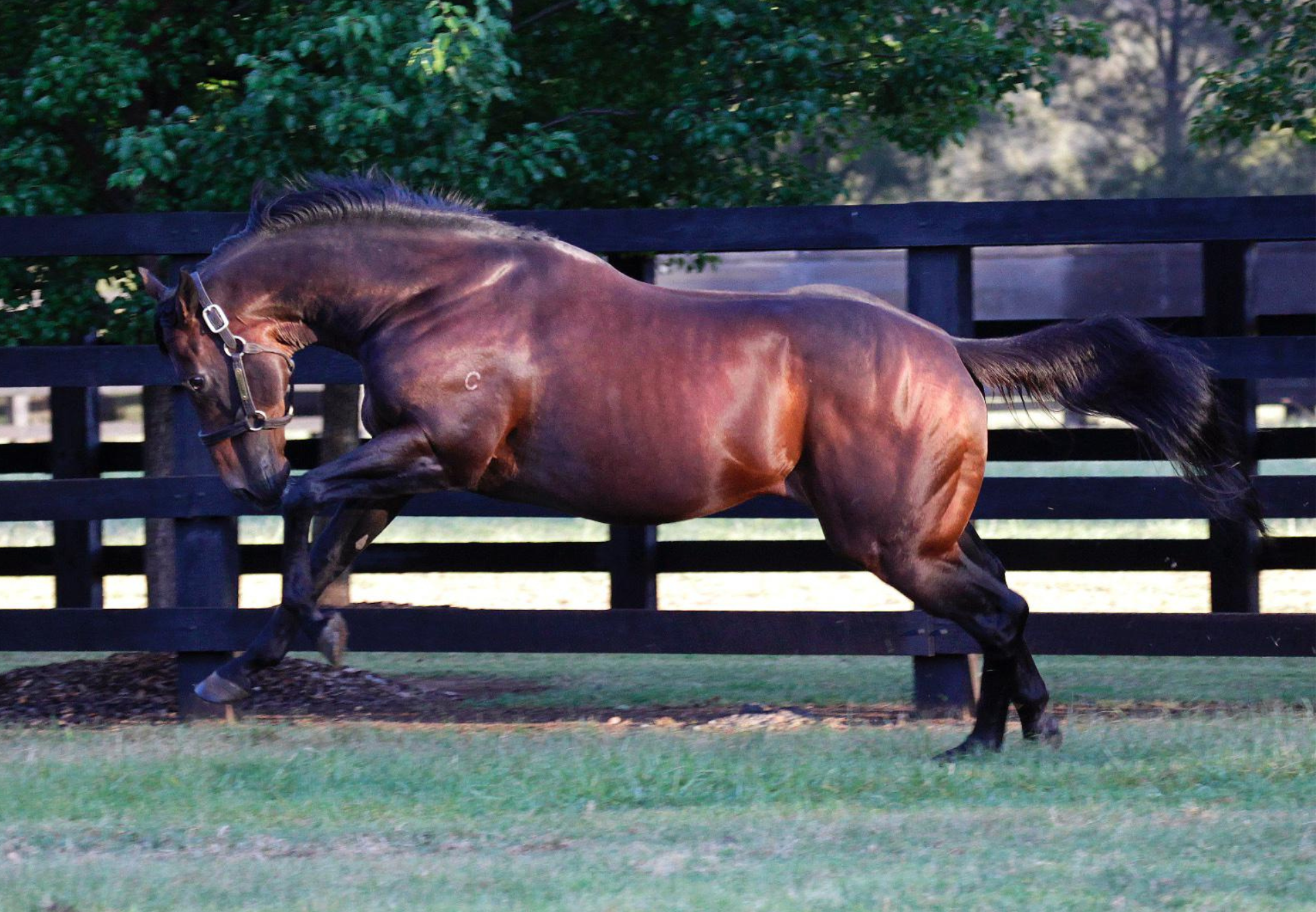 Fastnet Rock 2001 – 2025