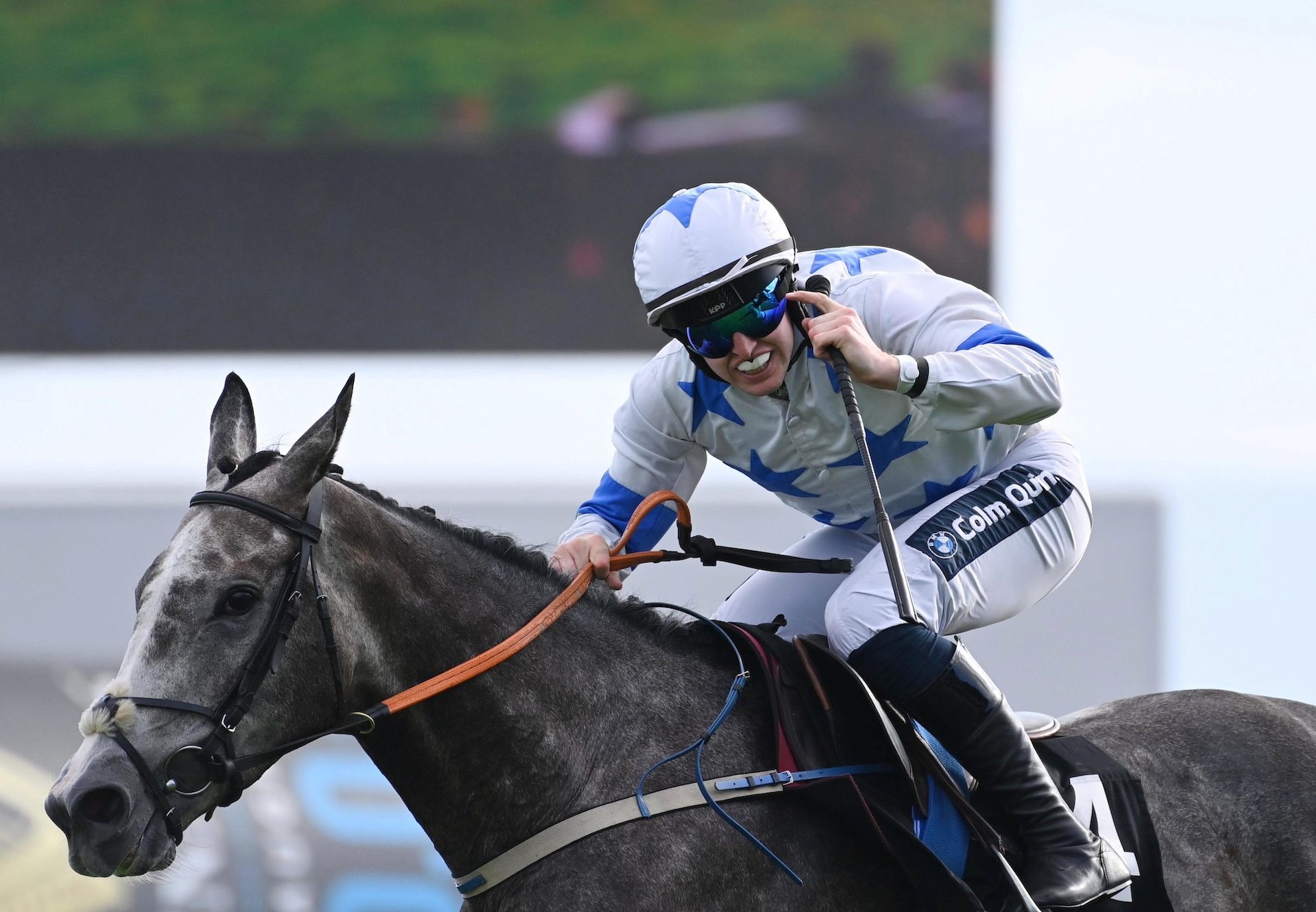 Walk In The Park Gelding Lands Galway Bumper