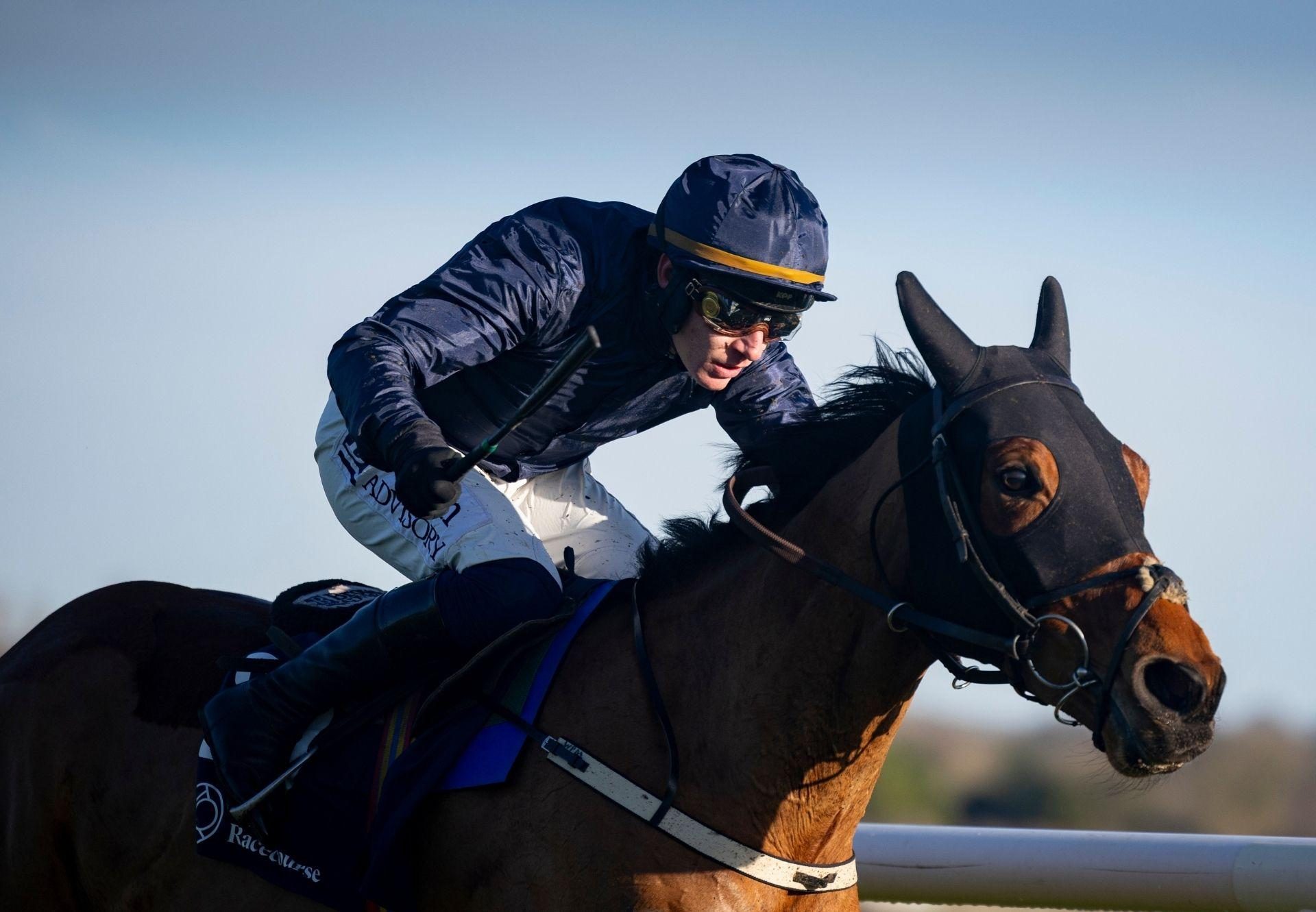 Winning Start Over Hurdles For Talented Order Of St George Mare