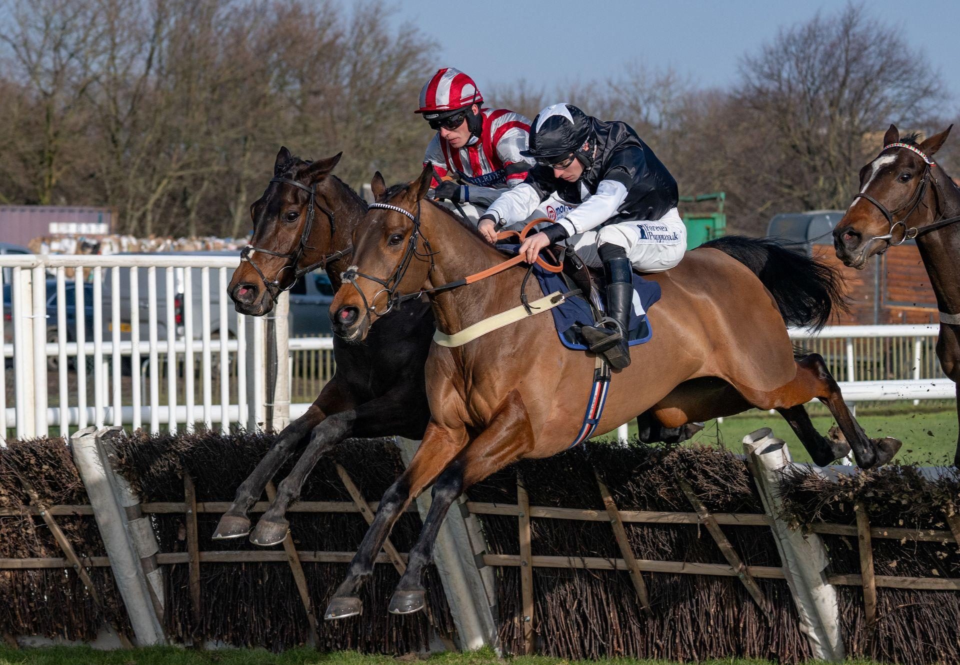 Impressive Pair Complete Double For Order Of St George