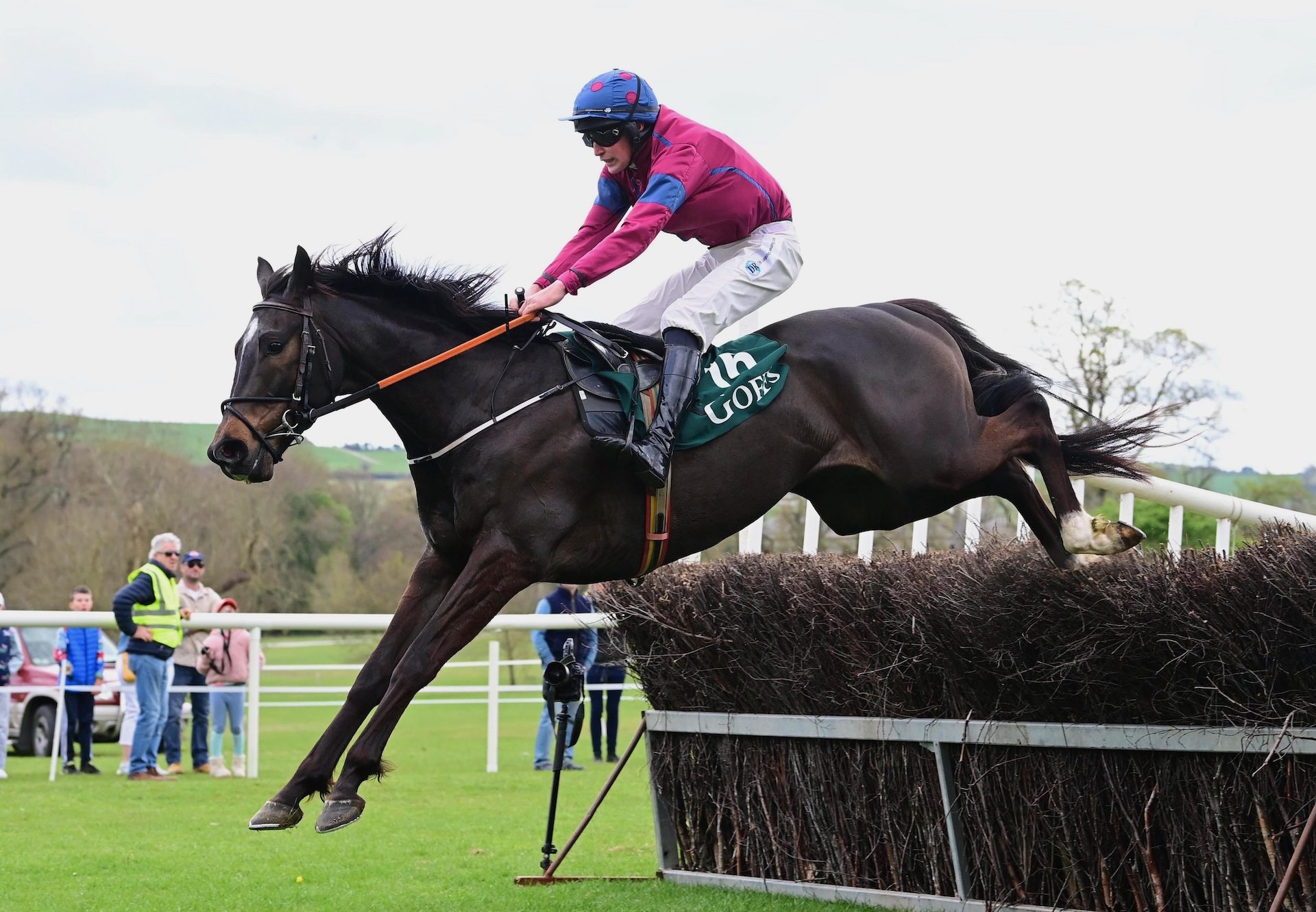 Vadamos Gelding In Command In Stradbally Maiden