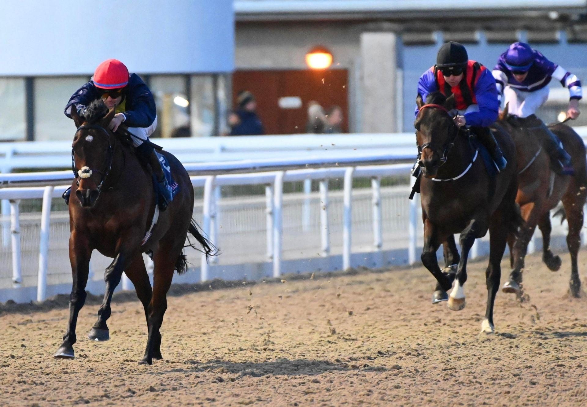 No Nay Never Colt Readily Captures First Win