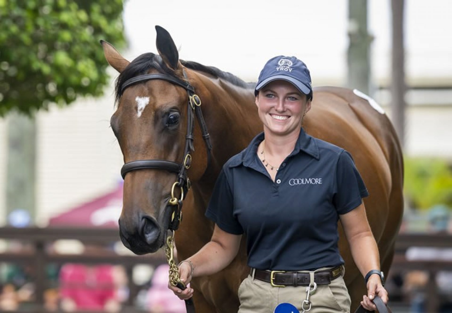 Avantage Filly Sells for $1,050,000